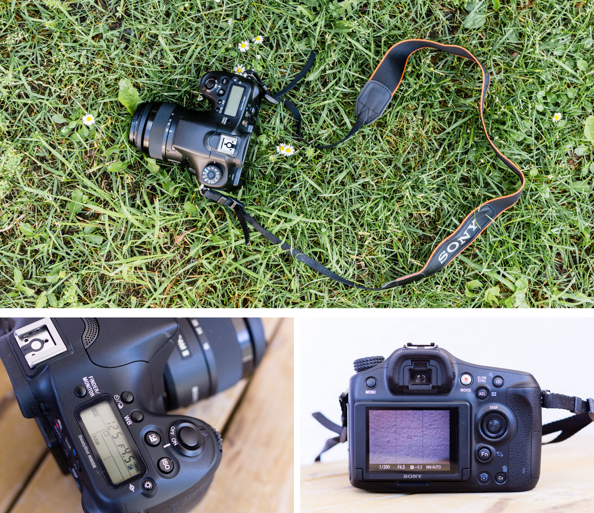 Sony Alpha 68 Im Praxistest Vergleiche Mit A77II A65 A6000 Sony Alpha 68 Im Praxistest Vergleiche Mit A77II A65 A6000