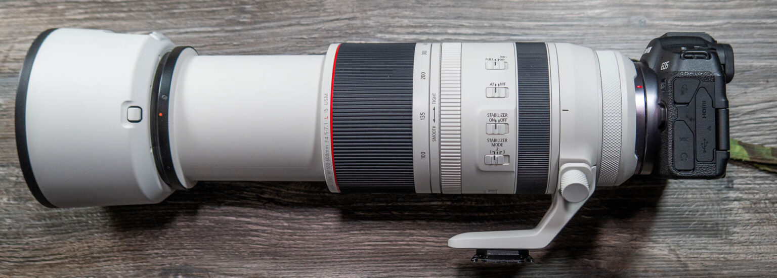 Canon RF 100-500mm vs RF 200-800mm - Meine Testergebnisse und ...